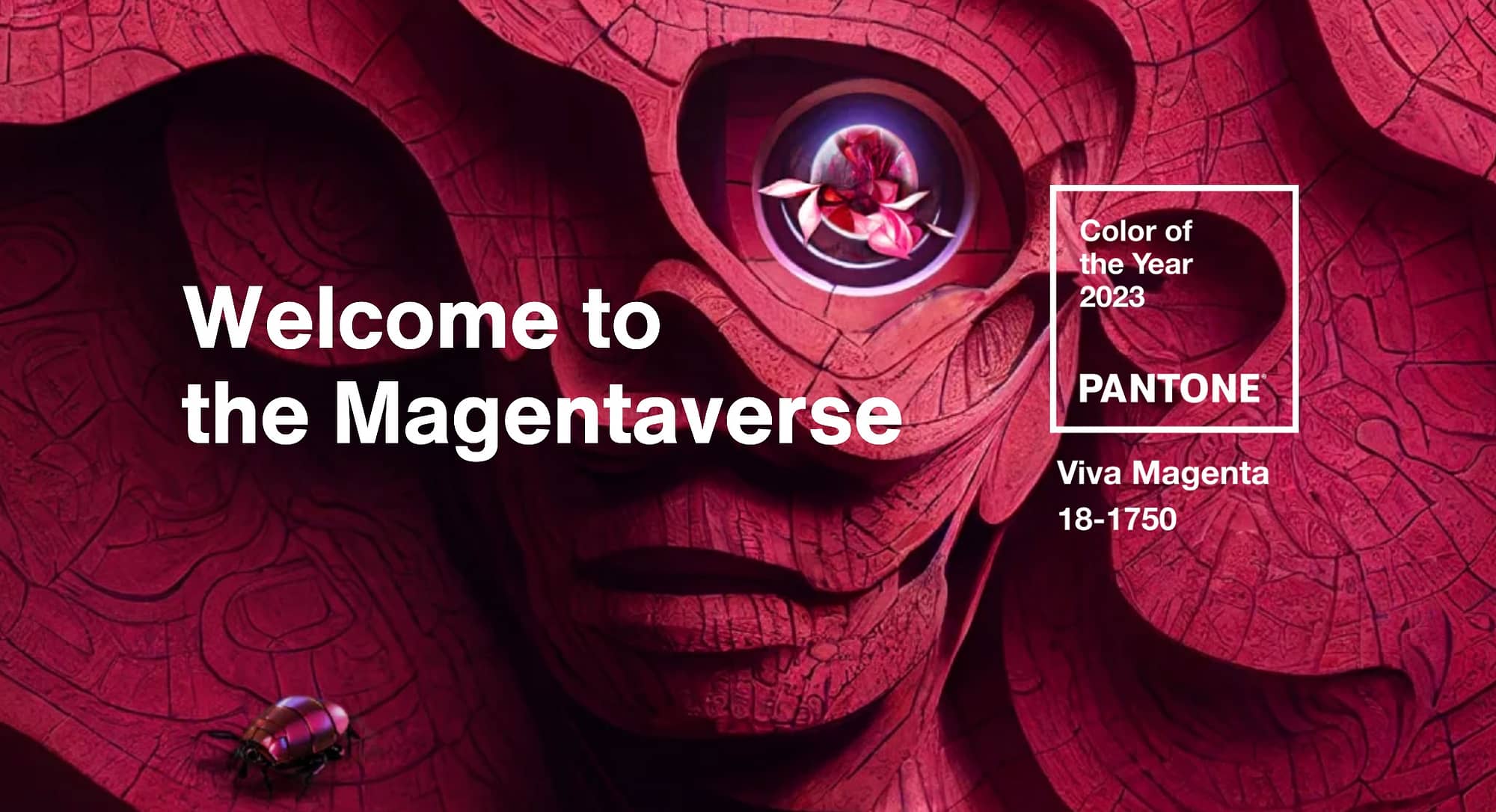 Pantone color of the year 2023: Viva Magenta Archives - new tess Pantone color of the year 2023: Viva Magenta Archives - new tess
